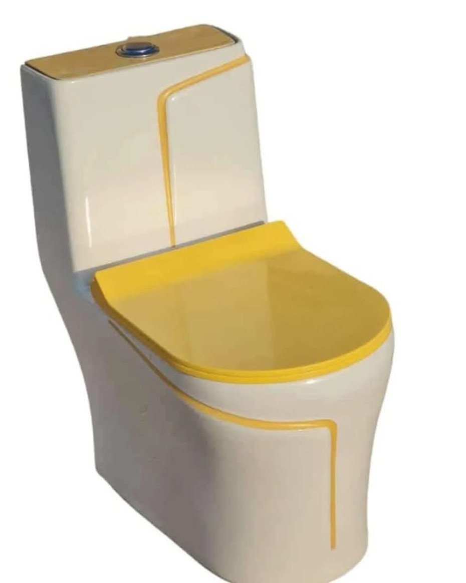 COMPLETE SET OF WATER CLOSET (WC) | GOODWILL CERAMIC LIMITED. We are ...