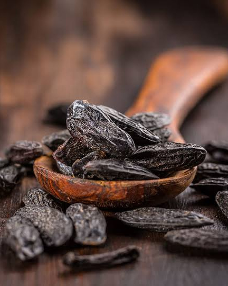 Tonka Bean Fragrance Oil | Exquisite Packaging.ng. “Where we sell ...