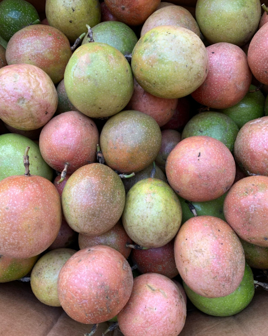 Passion Fruit 1kg | Jos Strawberries And Grains. Eat fresh, eat healthy ...