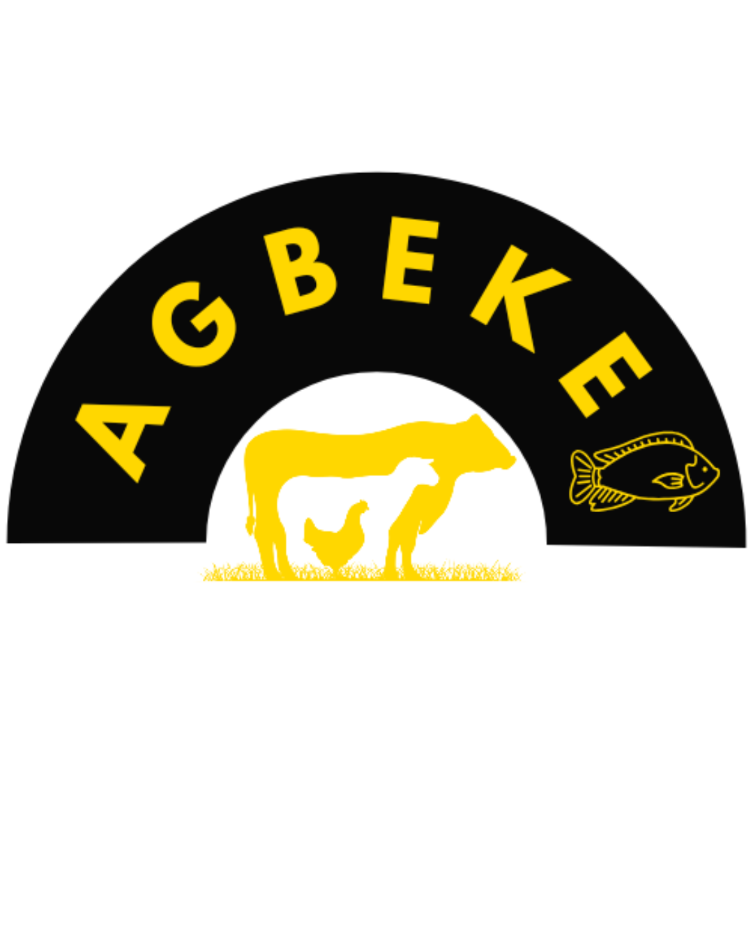 Agbeke The Meat Seller. Best Meat Plug In Lagos State